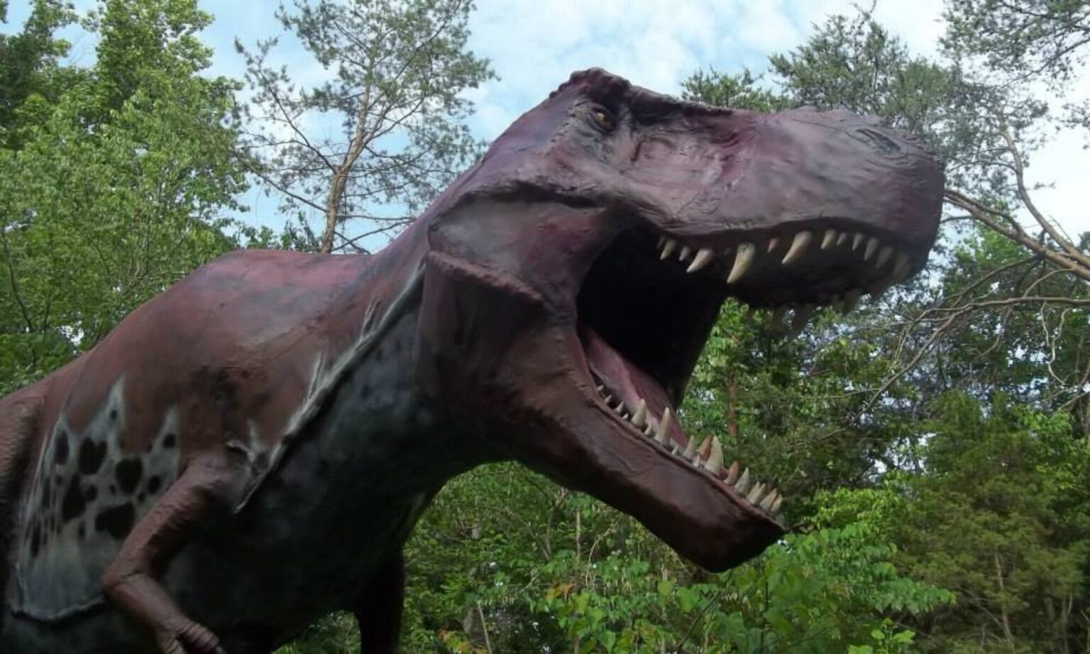 Scroll down to content